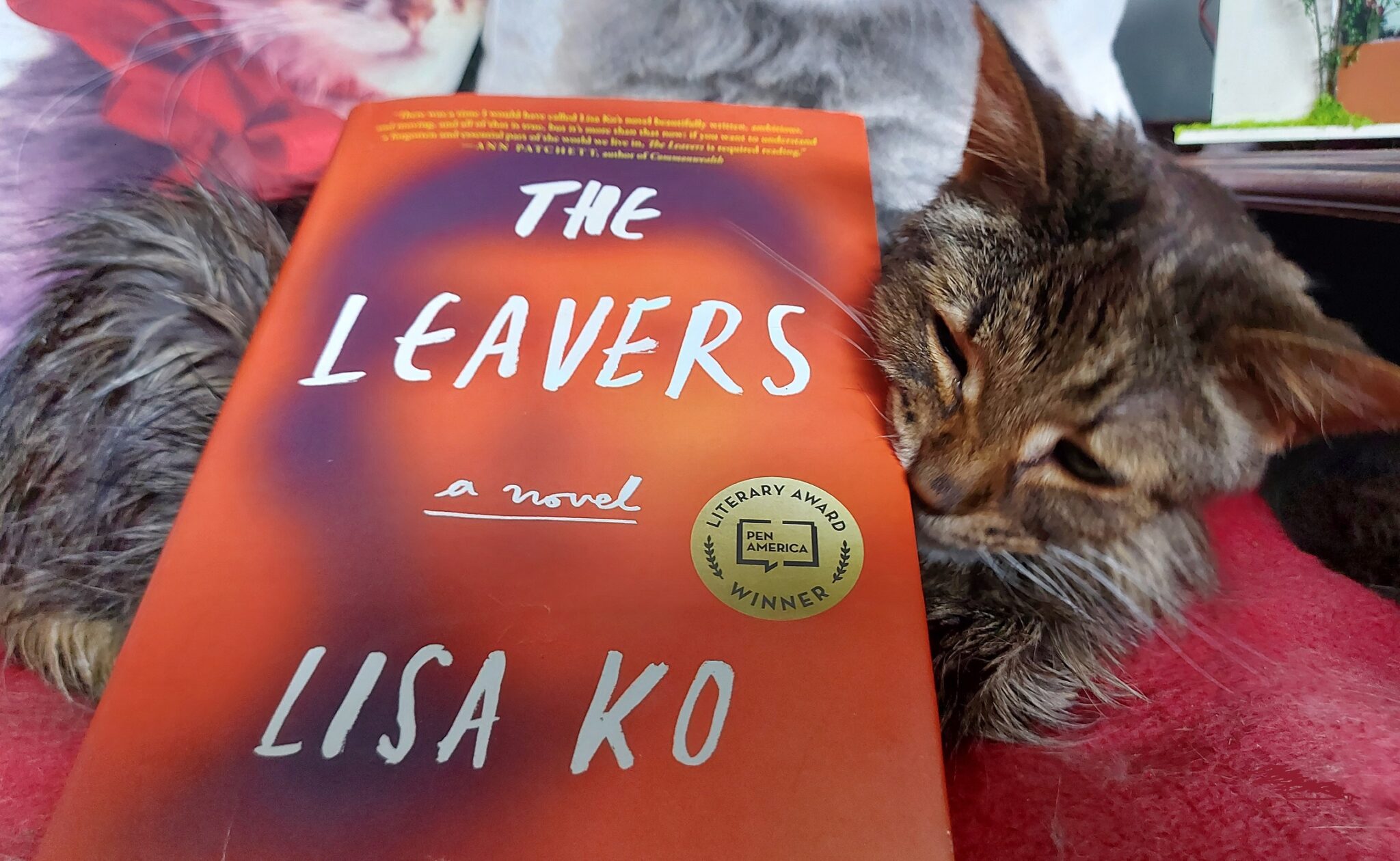 The Leavers by Lisa Ko – Bibliokitty