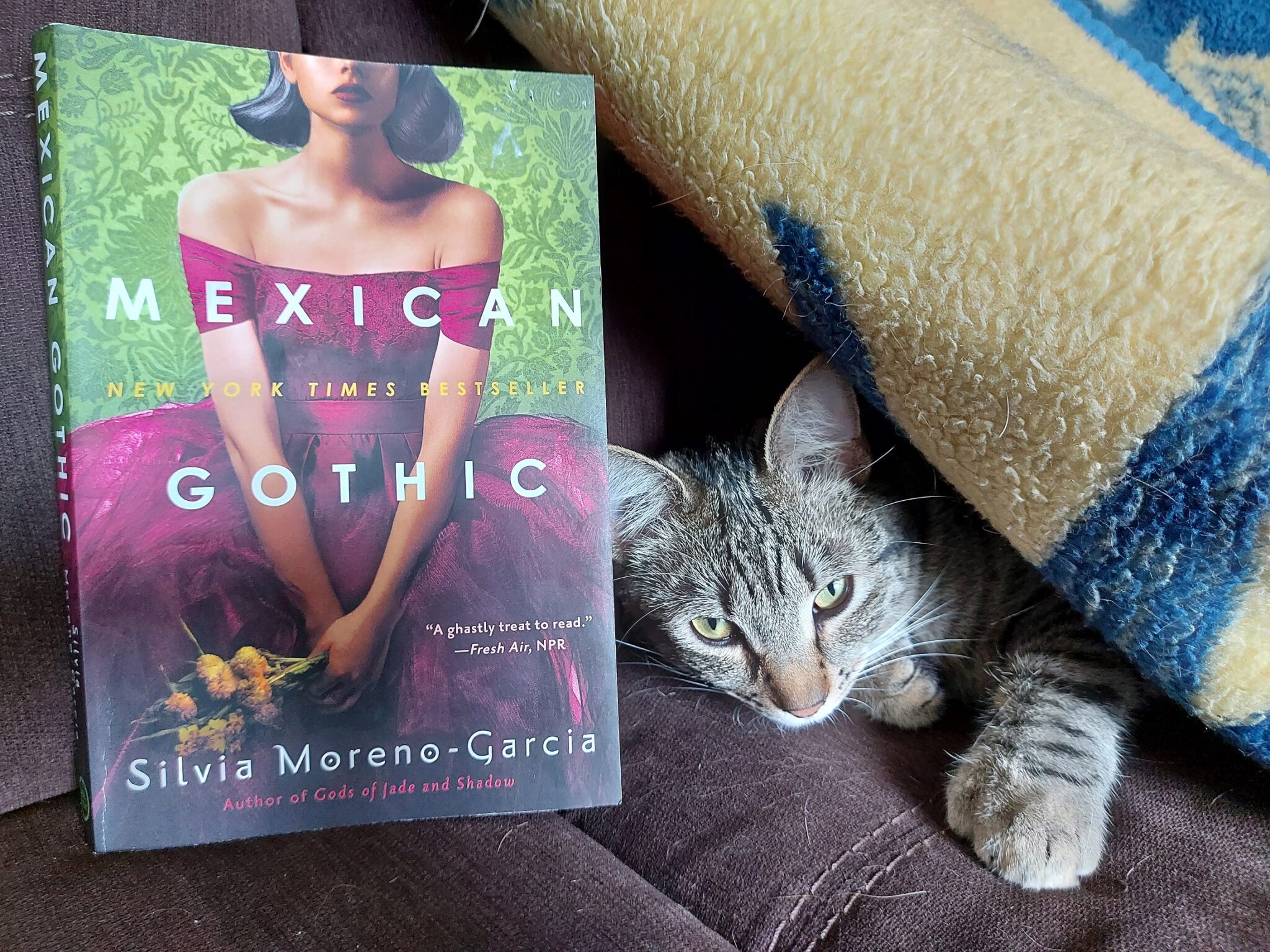 Mexican Gothic by Silvia Moreno-Garcia – Bibliokitty