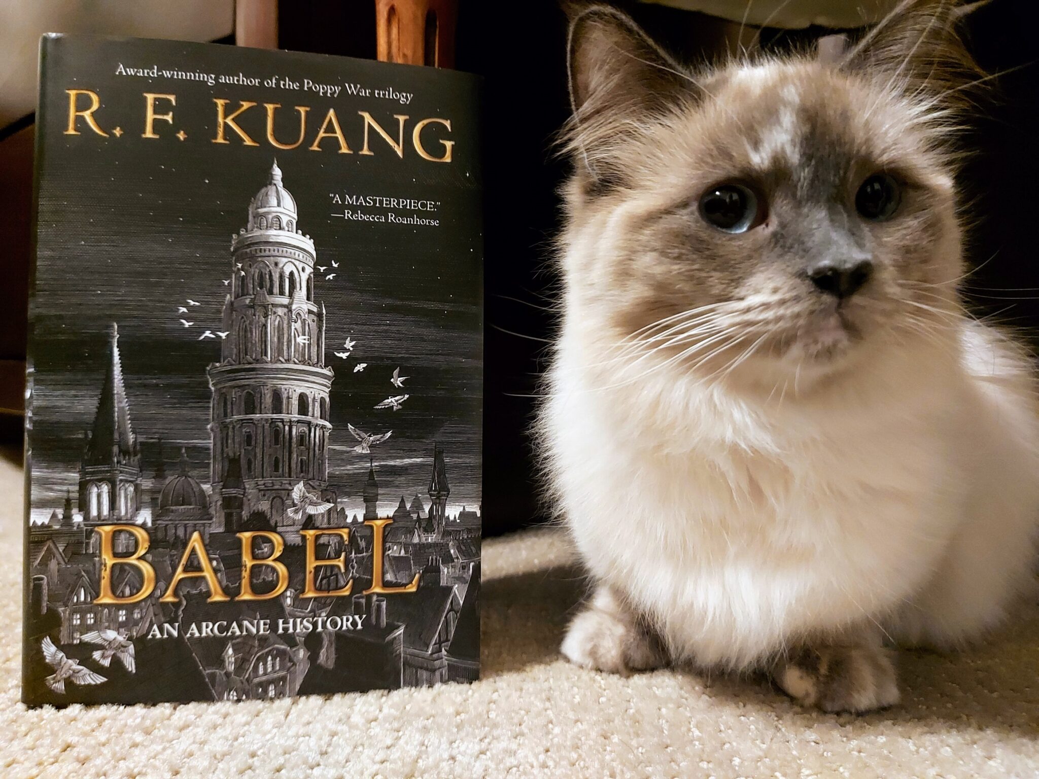 Babel by R. F. Kuang – Bibliokitty