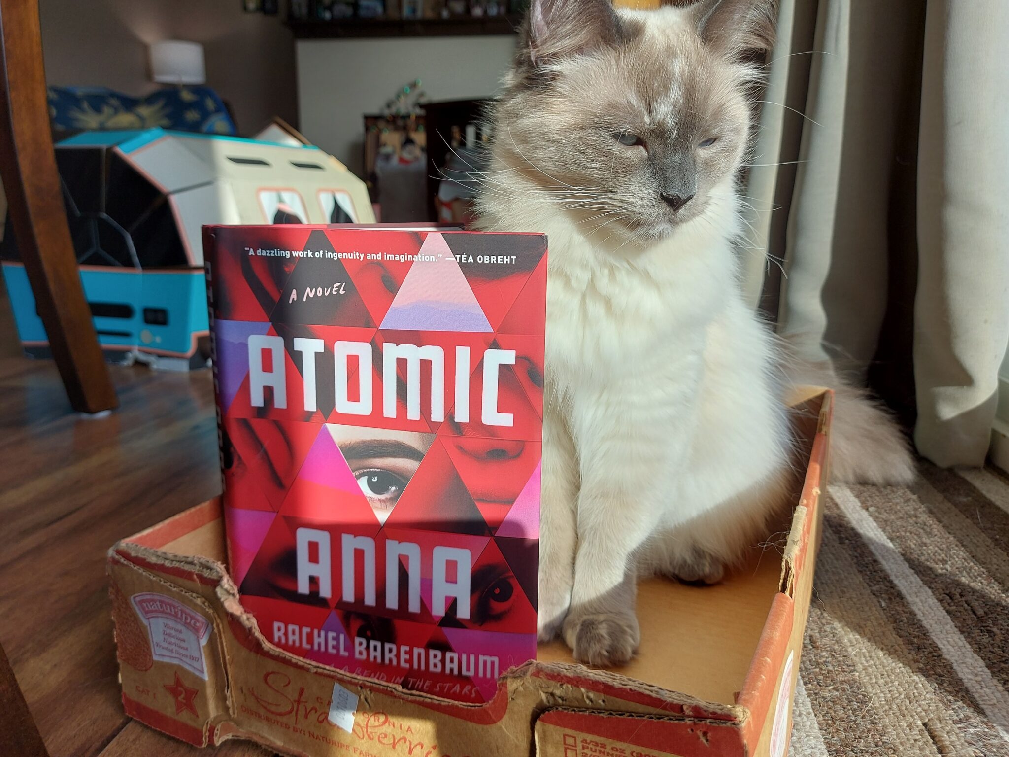 Atomic Anna by Rachel Barenbaum – Bibliokitty