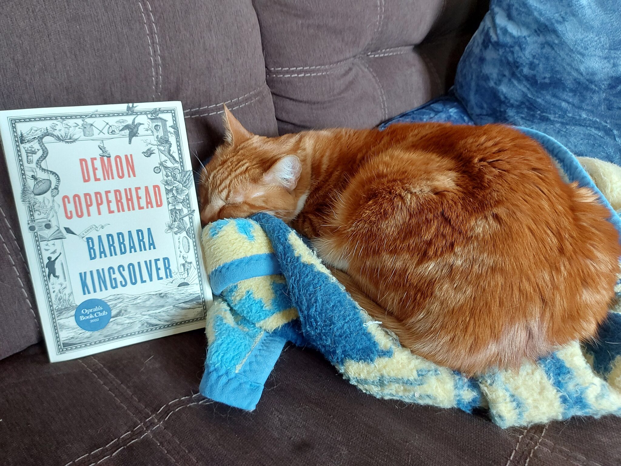 Demon Copperhead by Barbara Kingsolver – Bibliokitty