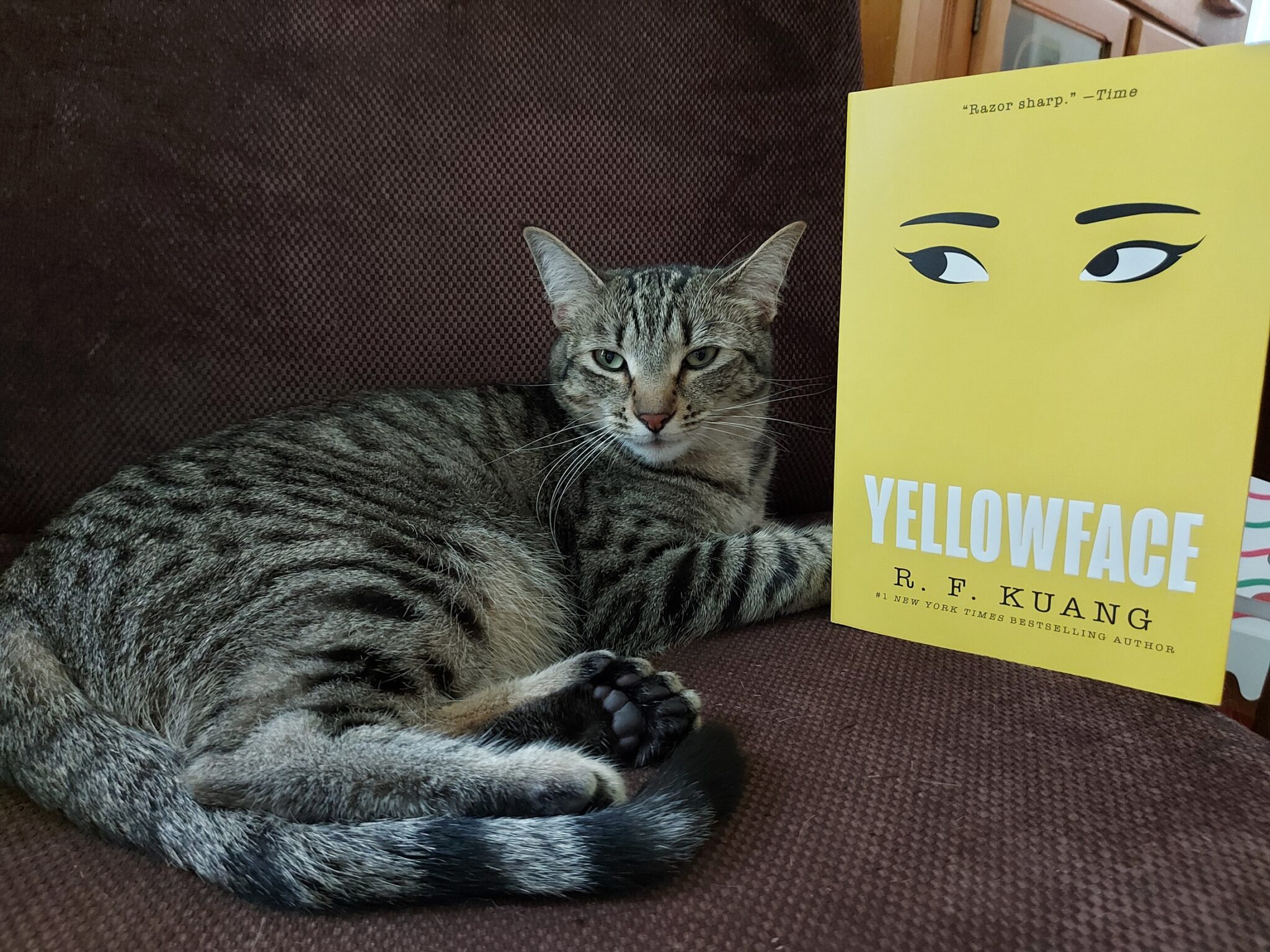 Yellowface by R. F. Kuang – Bibliokitty