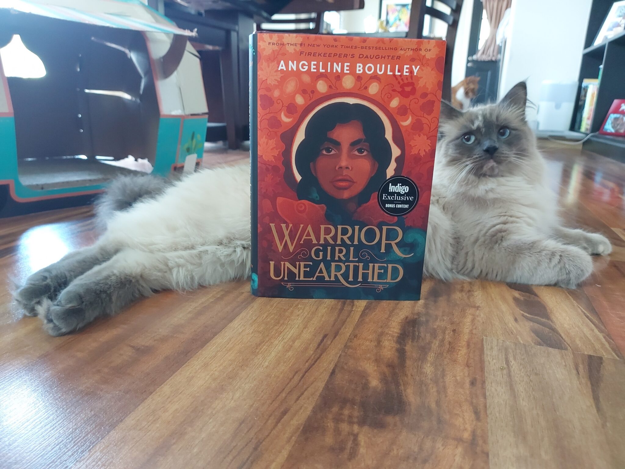 Warrior Girl Unearthed by Angeline Boulley – Bibliokitty