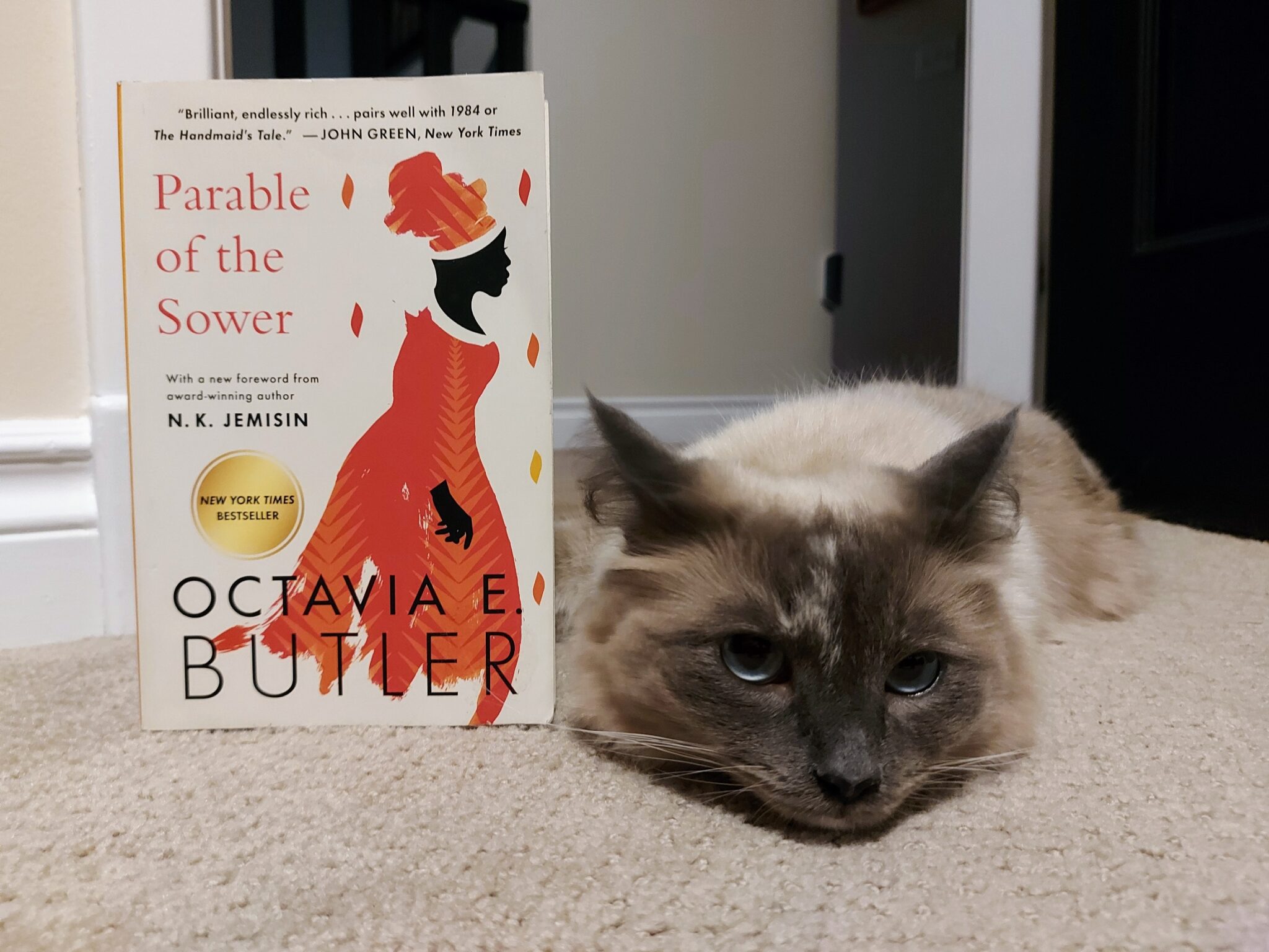 Parable of the Sower by Octavia E. Butler – Bibliokitty