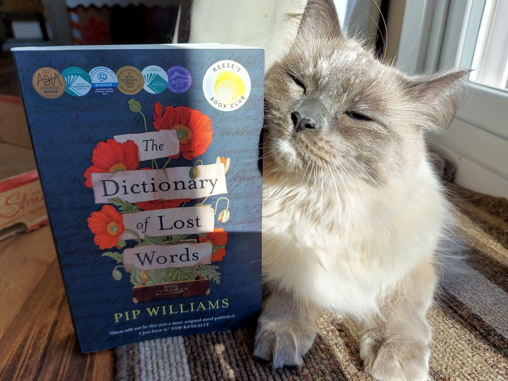 The Dictionary of Lost Words by Pip Williams – Bibliokitty