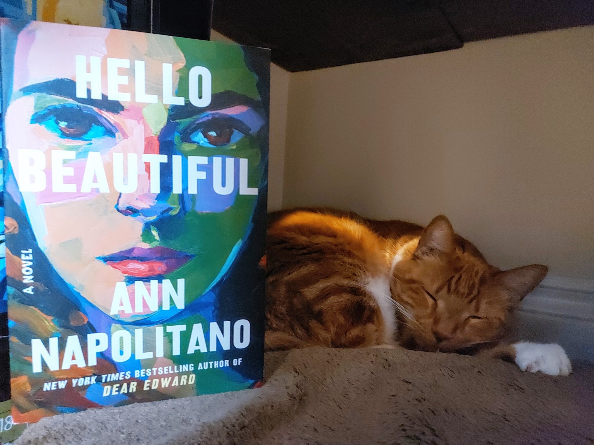 Hello Beautiful by Ann Napolitano – Bibliokitty