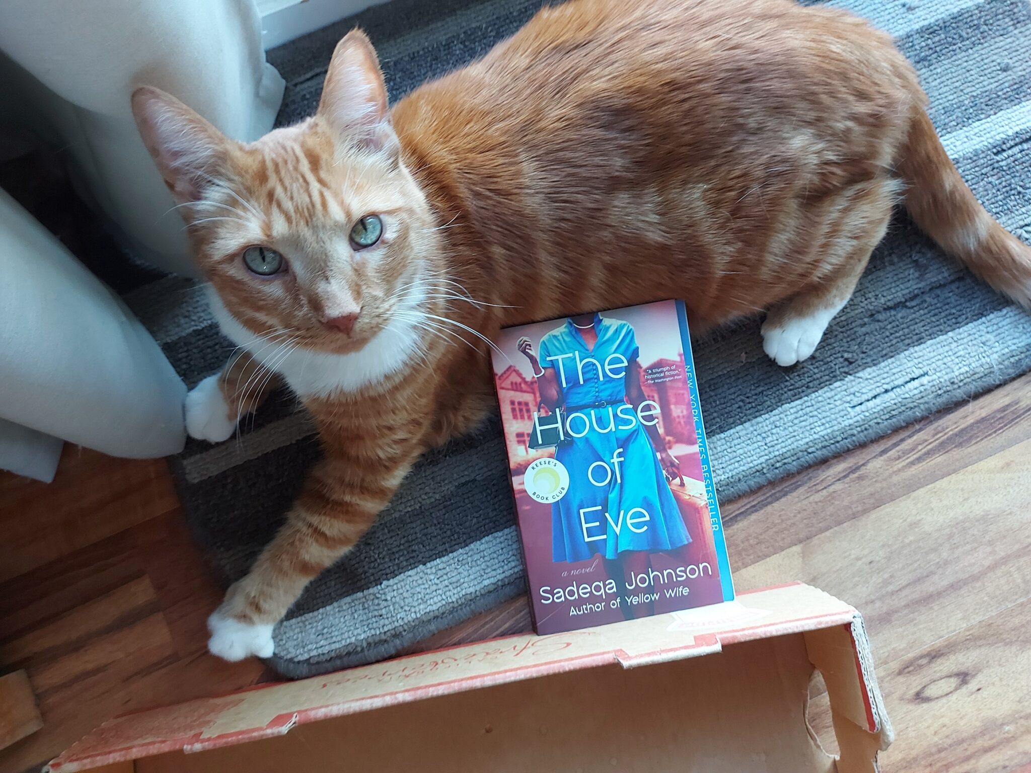 The House of Eve by Sadeqa Johnson – Bibliokitty