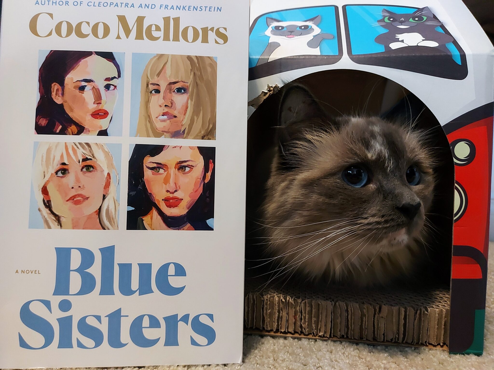 Blue Sisters by Coco Mellors – Bibliokitty