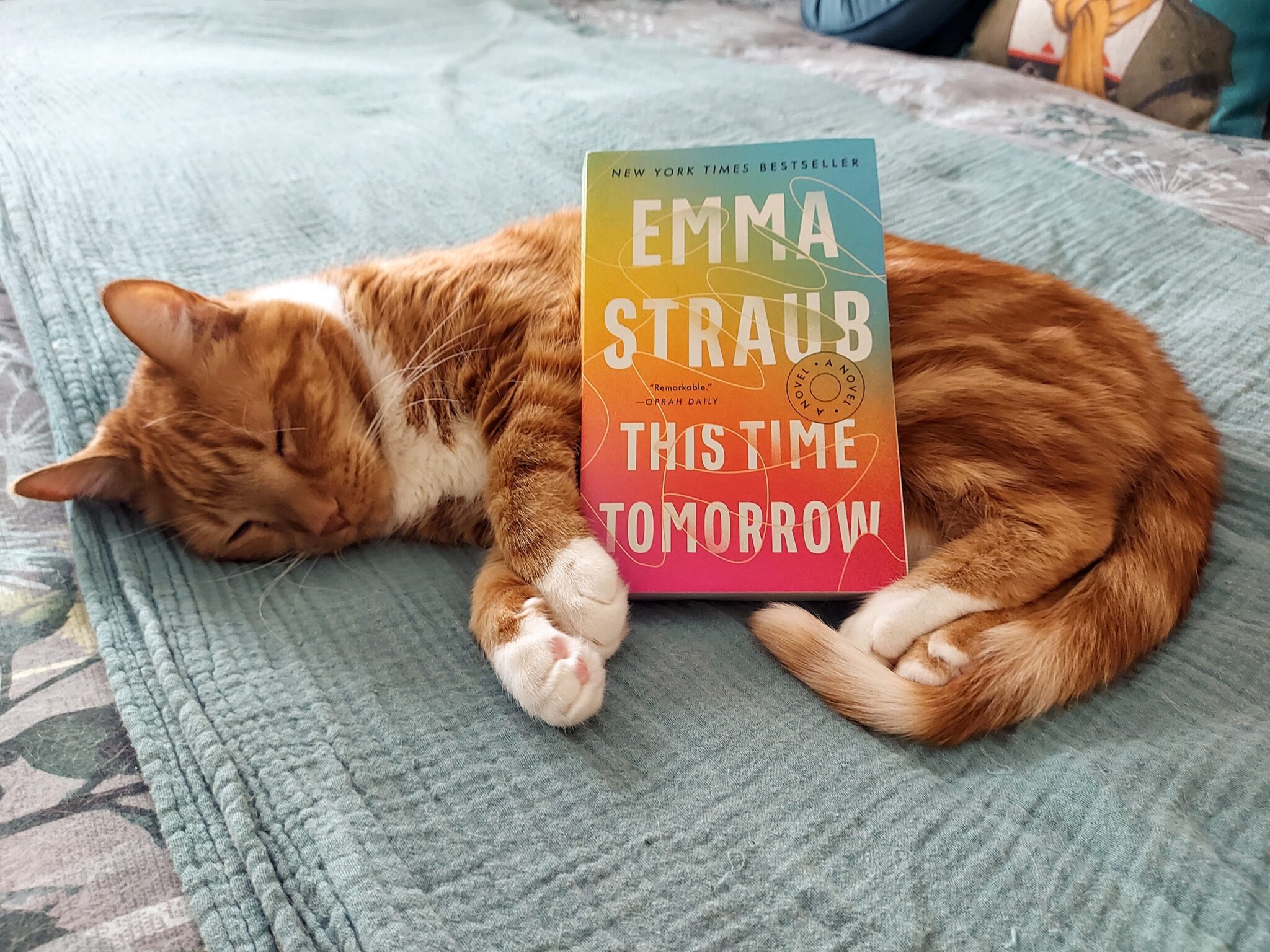 This Time Tomorrow by Emma Straub – Bibliokitty
