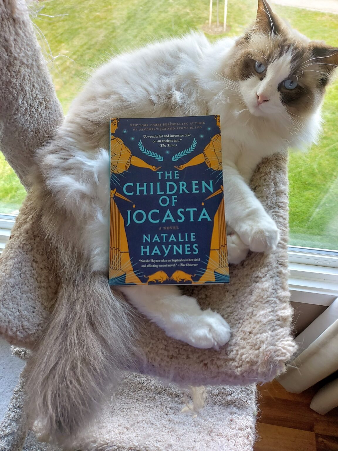 The Children of Jocasta by Natalie Haynes – Bibliokitty