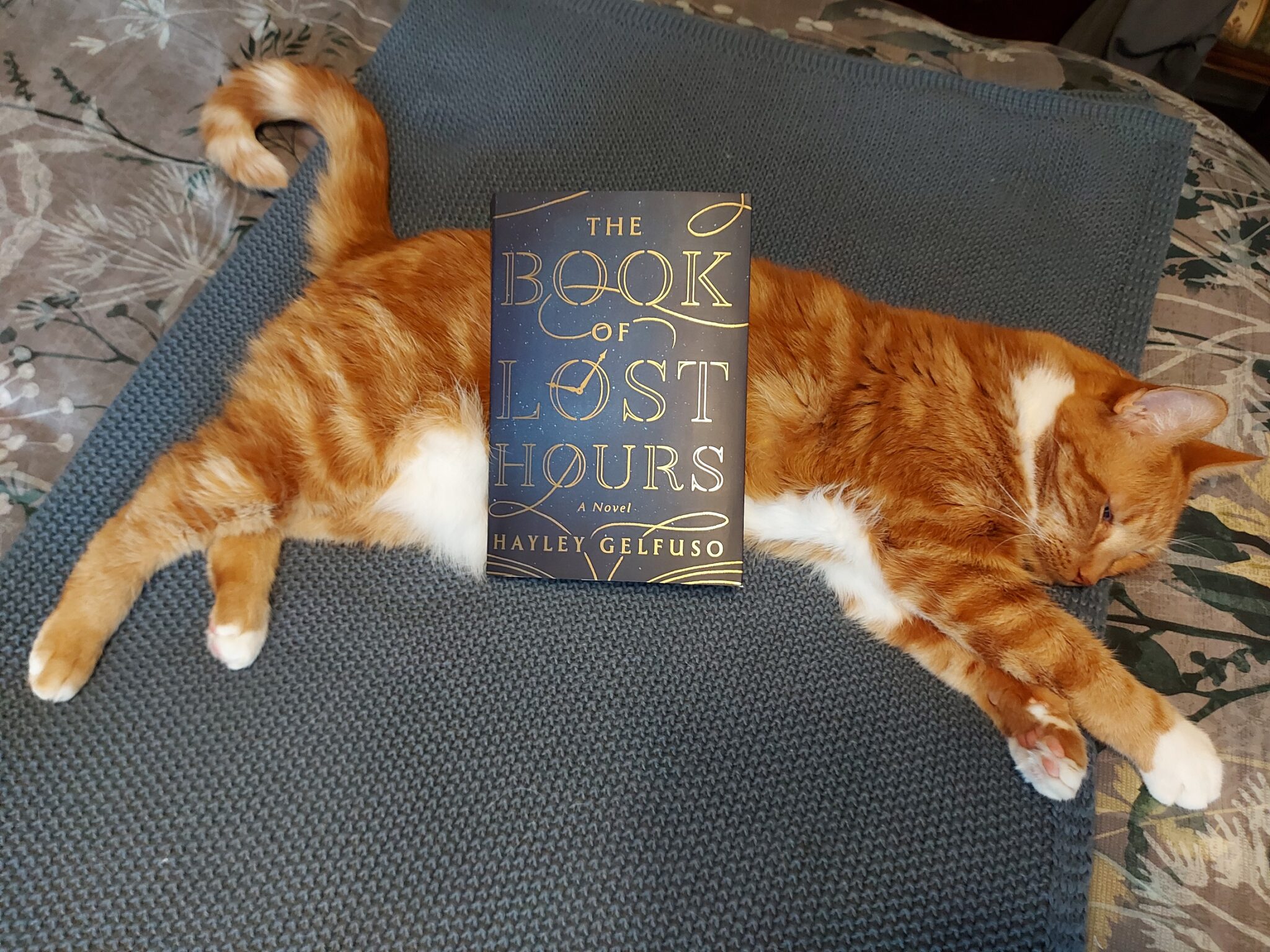 The Book of Lost Hours by Hayley Gelfuso – Bibliokitty