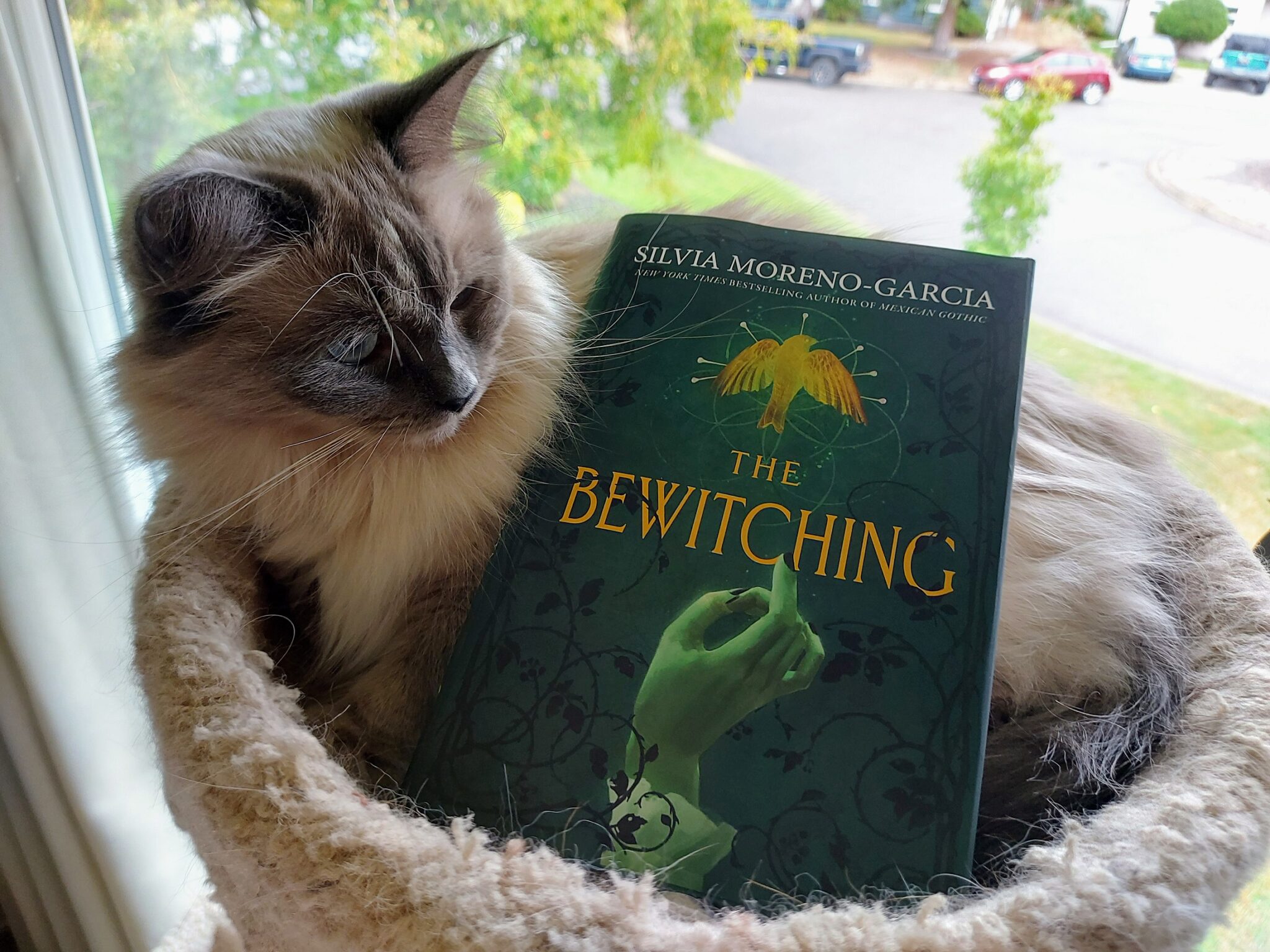 The Bewitching by Silvia Moreno-Garcia – Bibliokitty