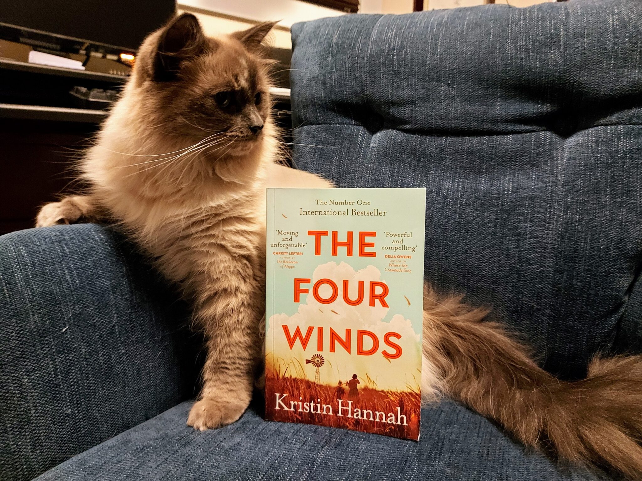 The Four Winds by Kristin Hannah – Bibliokitty