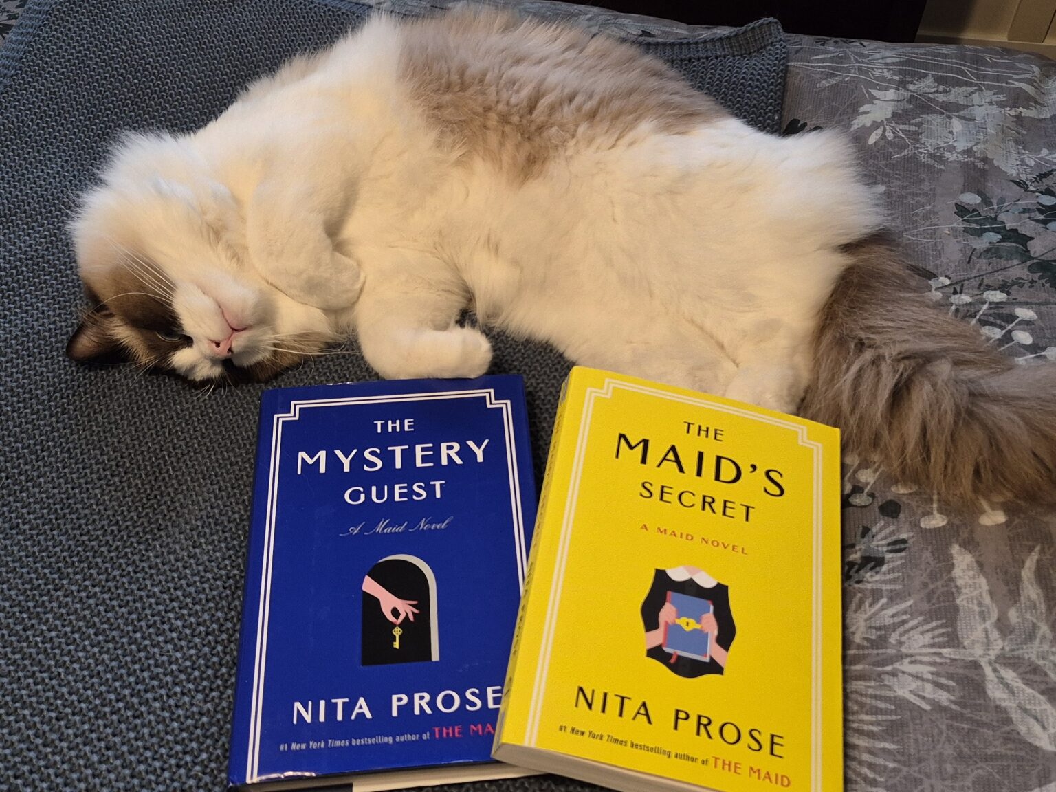 The Mystery Guest and The Maid’s Secret by Nita Prose – Bibliokitty